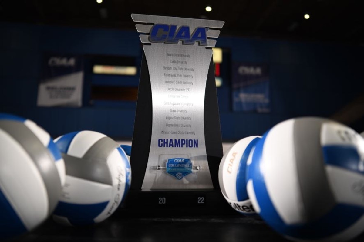 CIAA Commissioner McWilliams Interview on New Media Deal, Membership ...