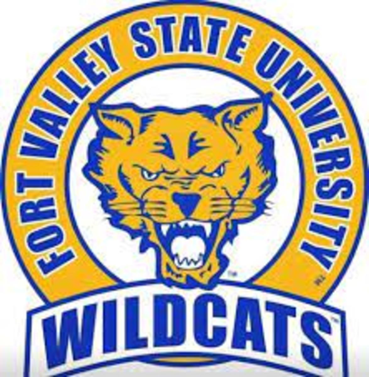 Emmanuel Wilson Nfl Draft Factory Sale | emergencydentistry.com