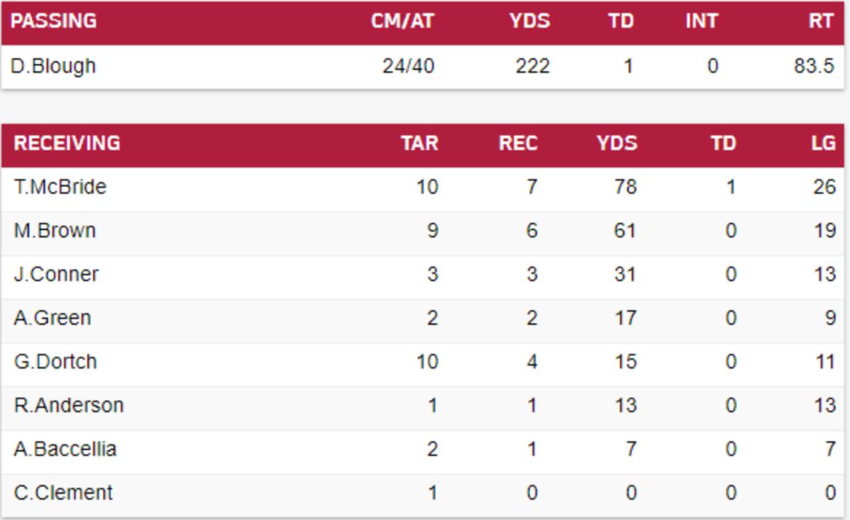 Arizona Cardinals QB David Blough Impresses Despite Loss - Sports ...