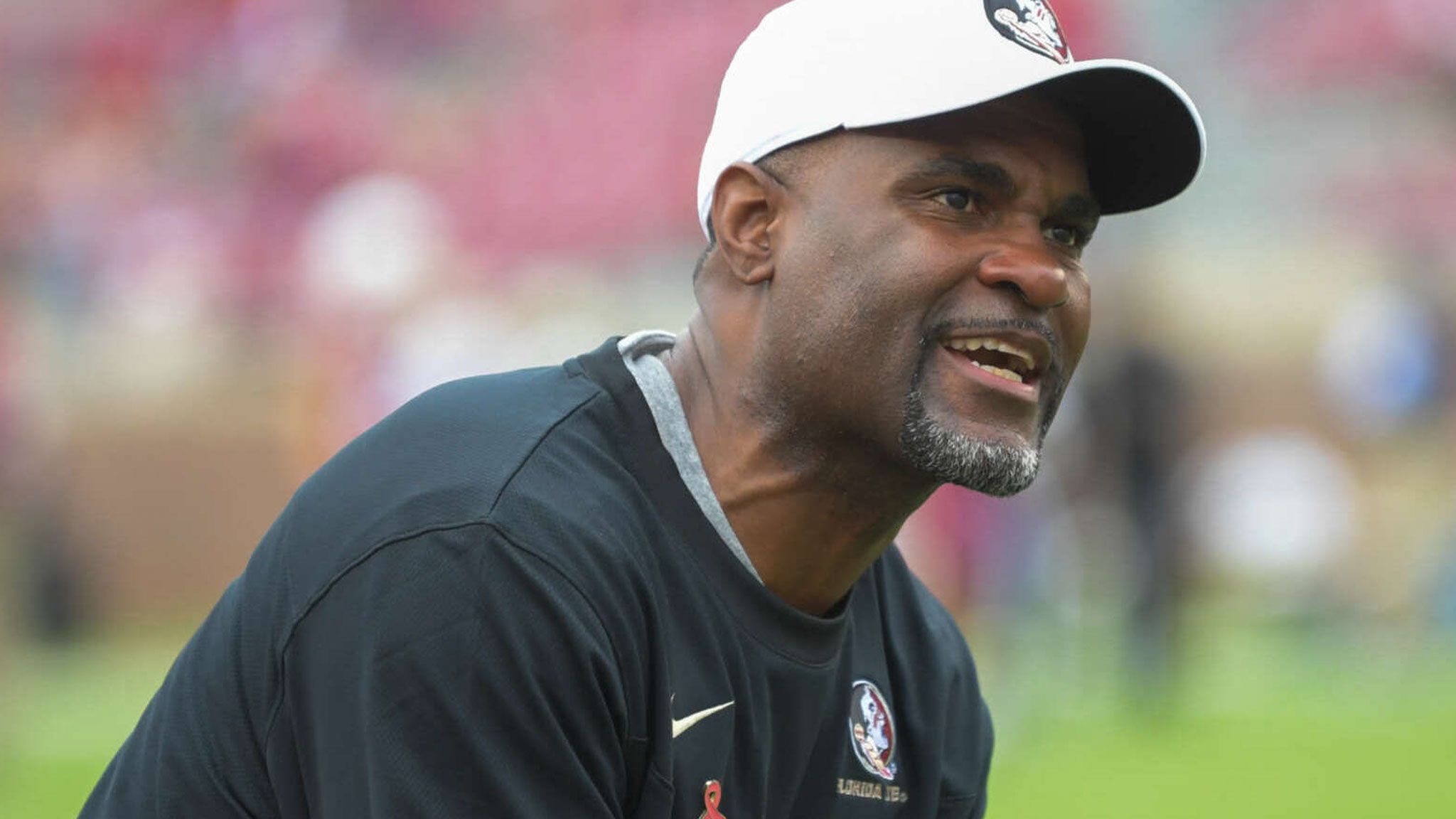 Razorbacks hire Florida State's Marcus Woodson as co-defensive ...