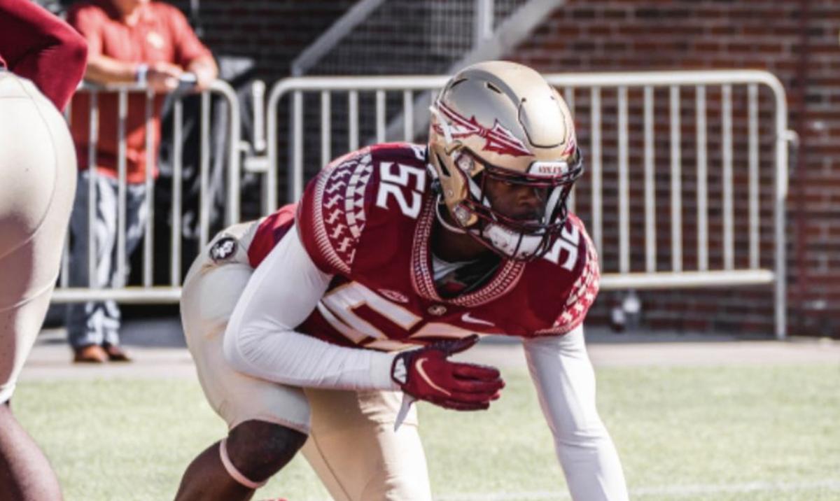 Former Florida State defensive end transitioning to FCS to continue ...