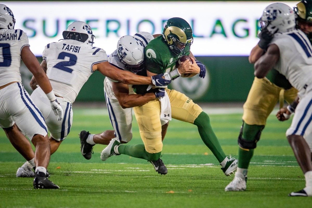 Defensive End Transfer Target Daniel Grzesiak Chooses Cincinnati ...