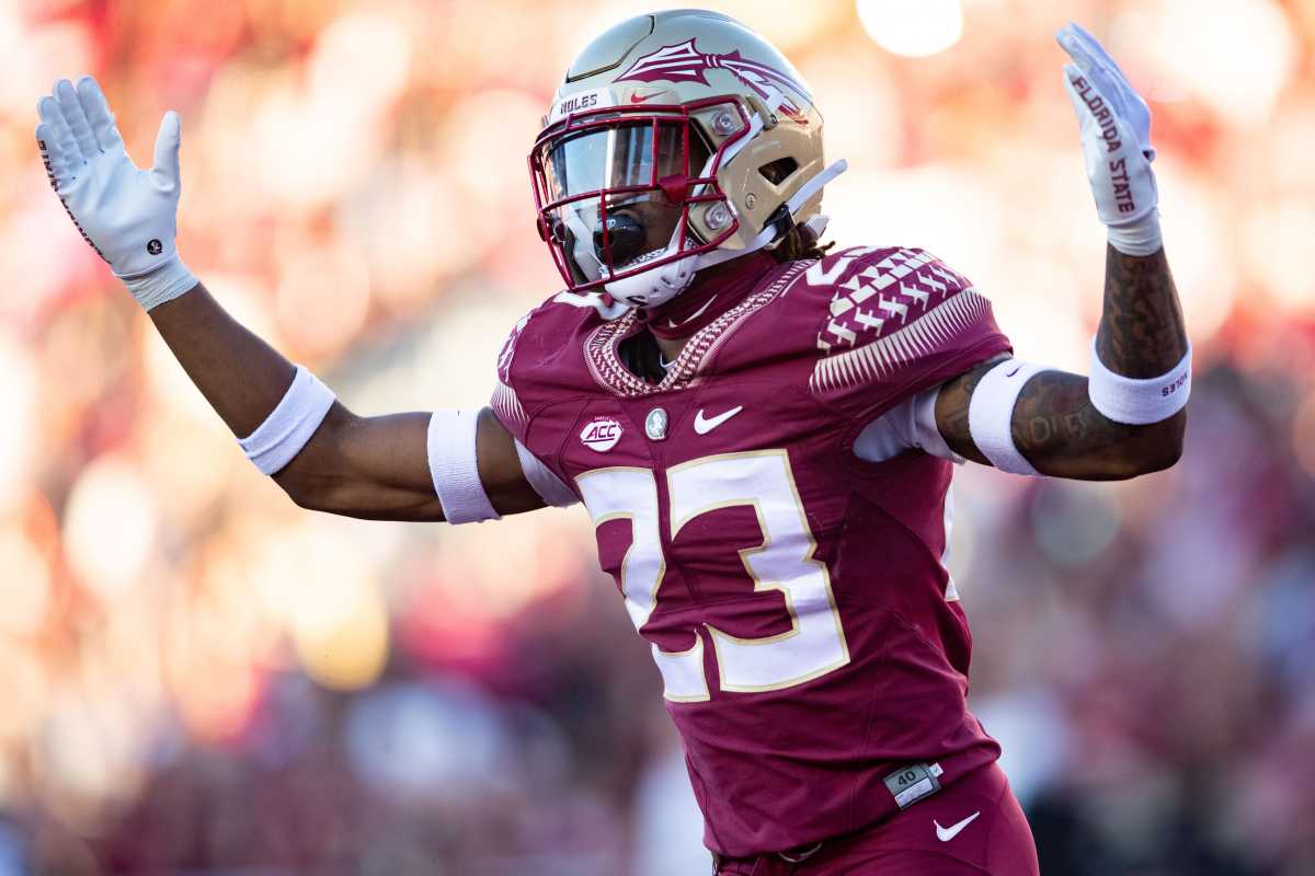 Former Florida State defensive back lands with SEC program - Sports ...