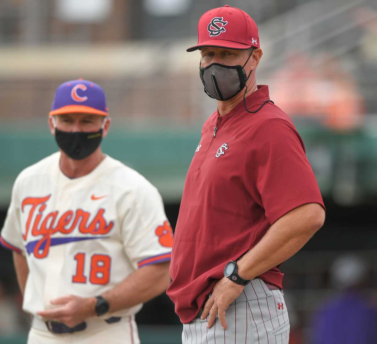 SEC Baseball Coaches Predict A Modest Performance For South Carolina ...