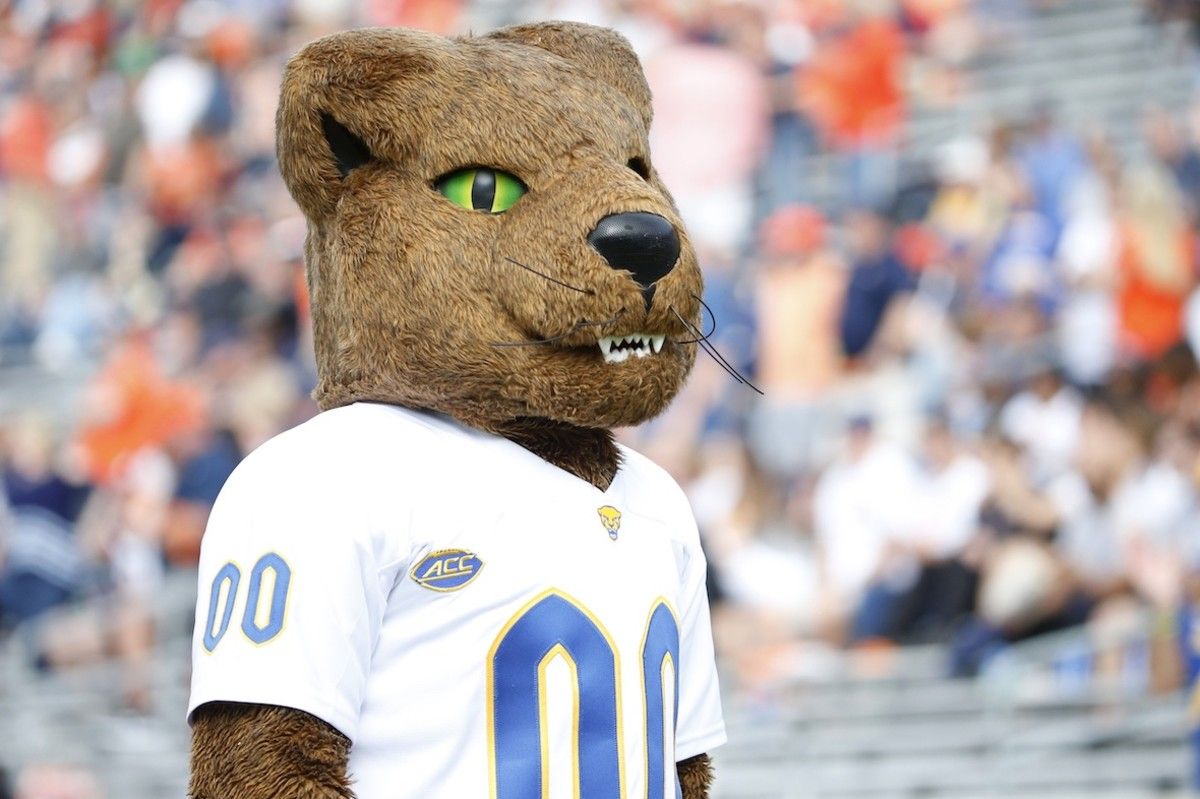 Basketball Pittsburgh 2022 Panthers Mascotcolle