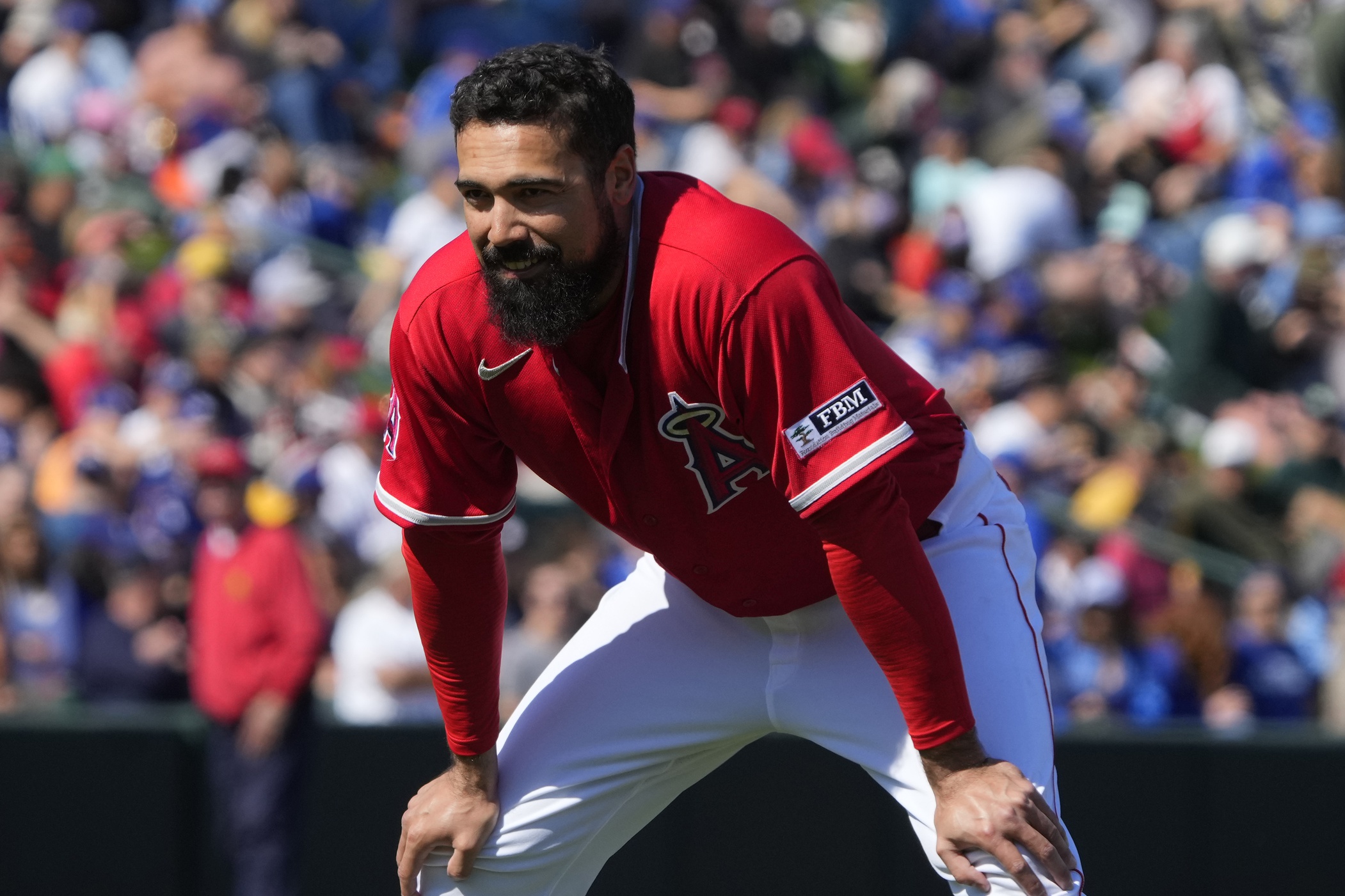 Angels News: Anthony Rendon’s Fan Altercation Deemed as Battery by ...