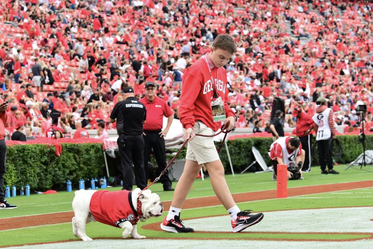 Georgia Football Has a New Mascot in UGA - Sports Illustrated Georgia ...