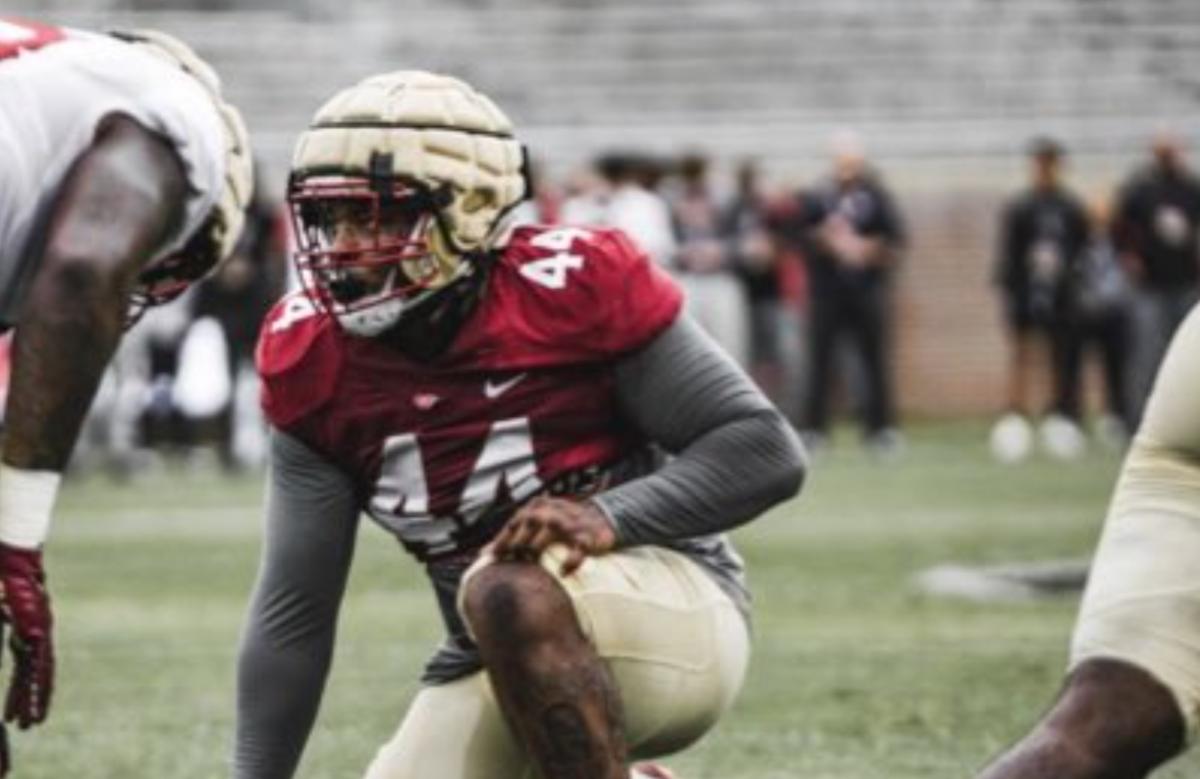Florida State Defensive Tackle Officially Enters NCAA Transfer Portal ...