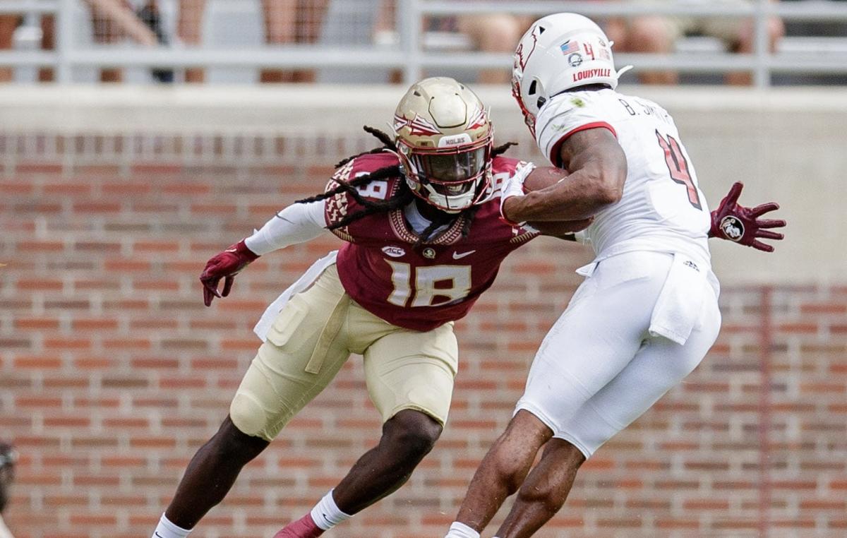 Florida State Loses Another Safety To The NCAA Transfer Portal - Sports ...