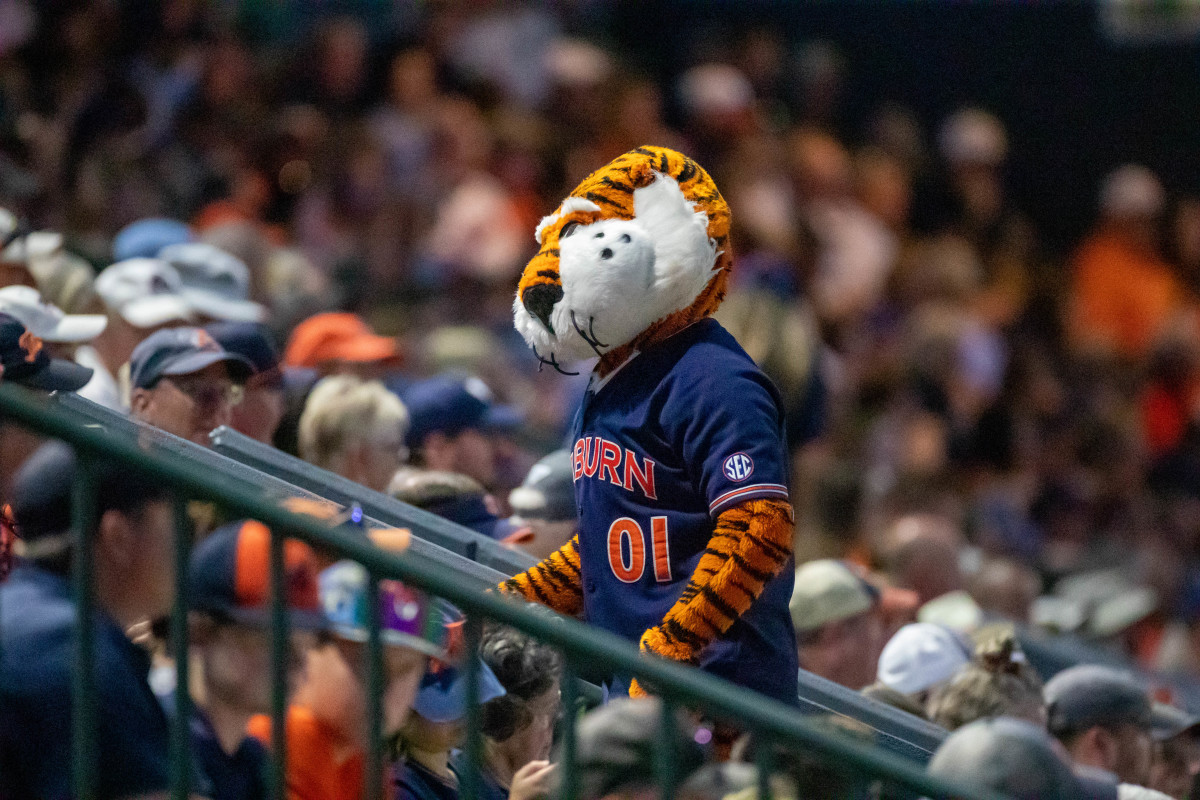 The best photos from Auburn baseball's regional loss to Penn - Sports ...