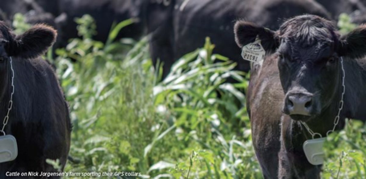 From Farming to Football: How Tech is Changing The Game - Sports ...