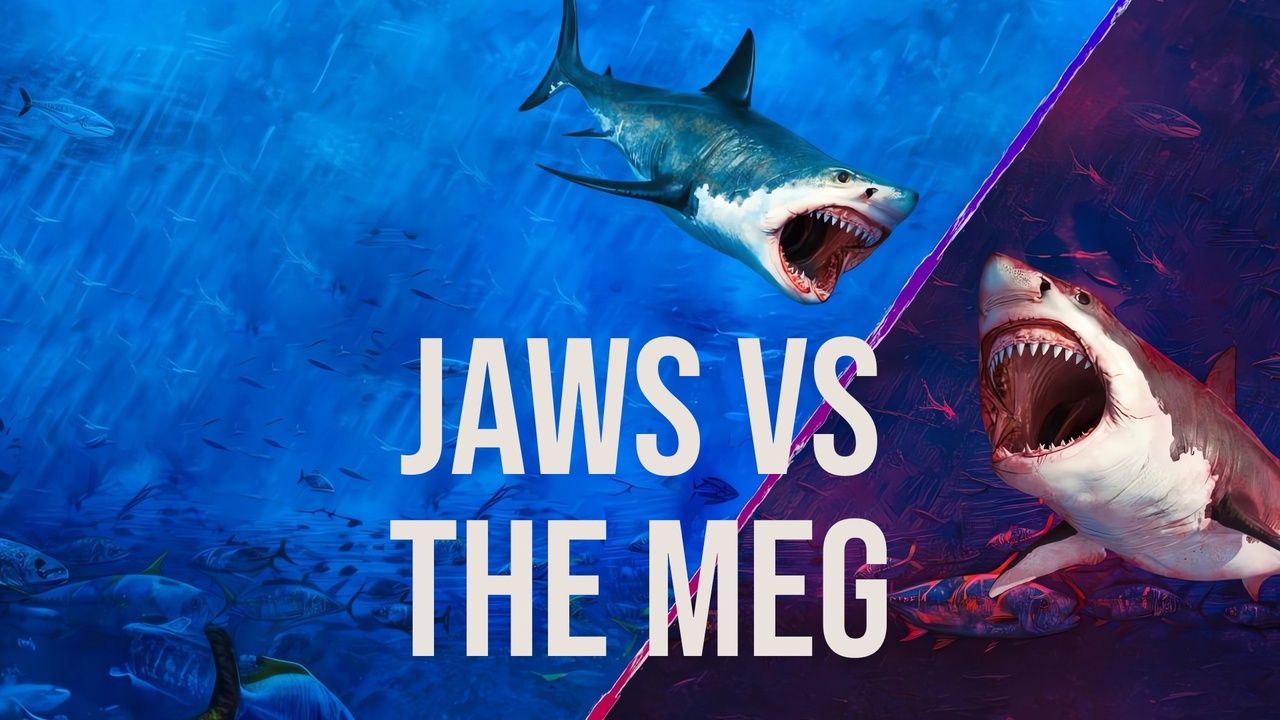 Megalodon Shark Vs Great White Shark Jaws