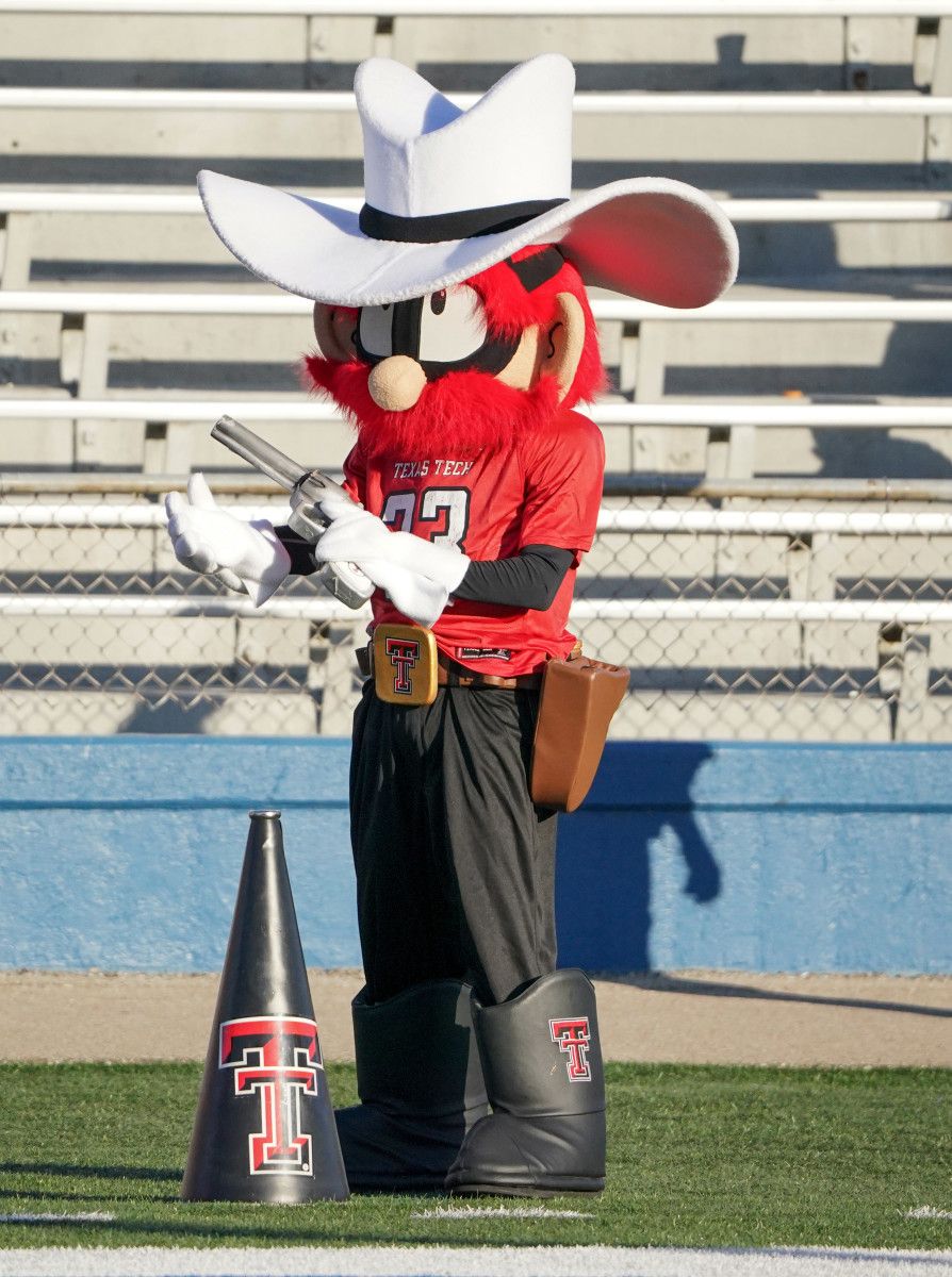 Jayhawk Costume Halloween Costume
