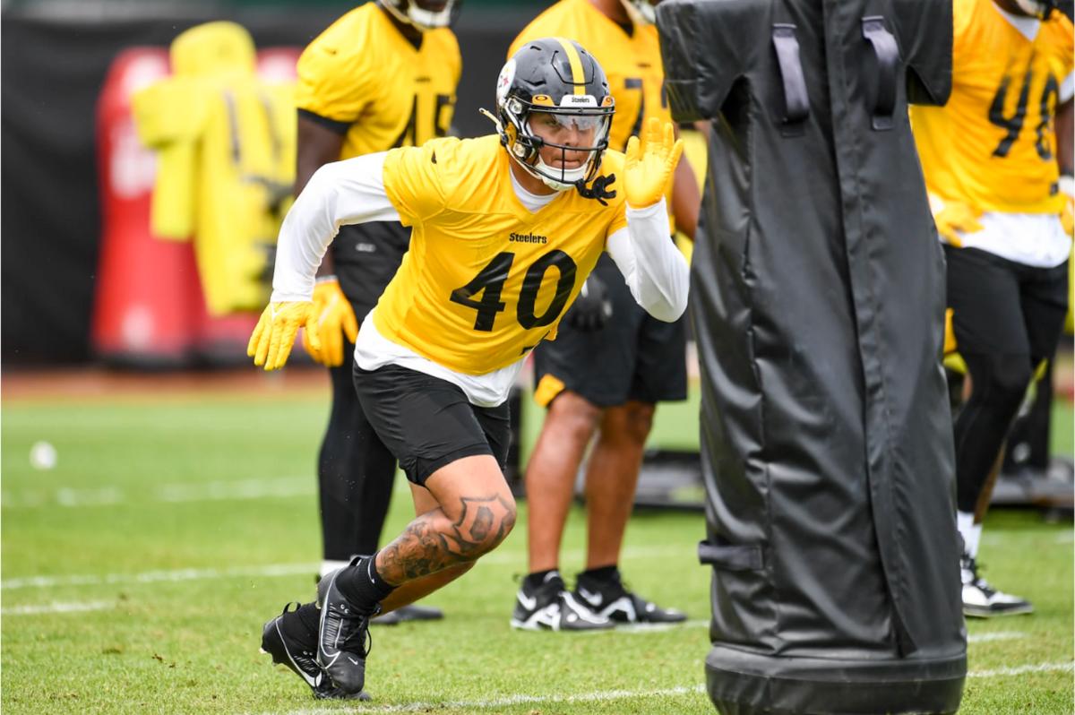 UDFA David Perales Impressing Pittsburgh Steelers Star LB - Sports ...