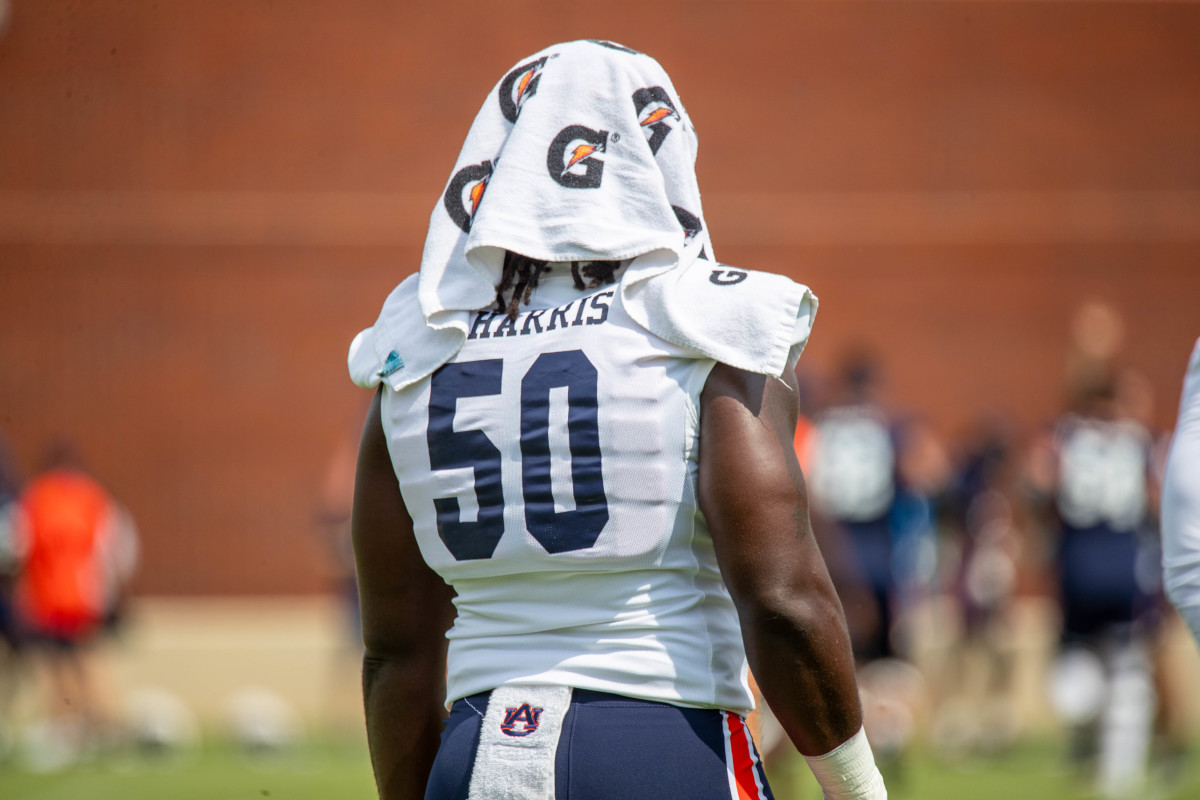 Five winners from Auburn's loss to Ole Miss - Sports Illustrated Auburn ...