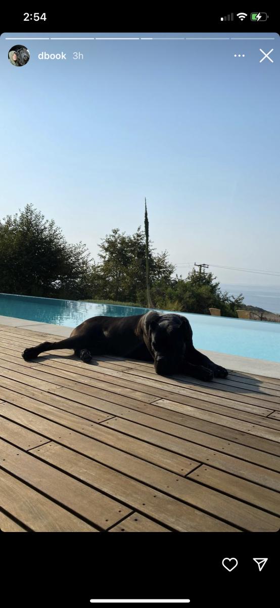 Phoenix Suns G Devin Booker Celebrates Dog Haven's Birthday - Sports ...