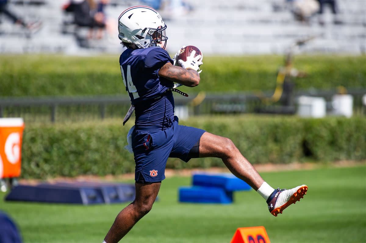 Georgia Tech Football: Eric Reed Transfer Profile - Sports Illustrated ...