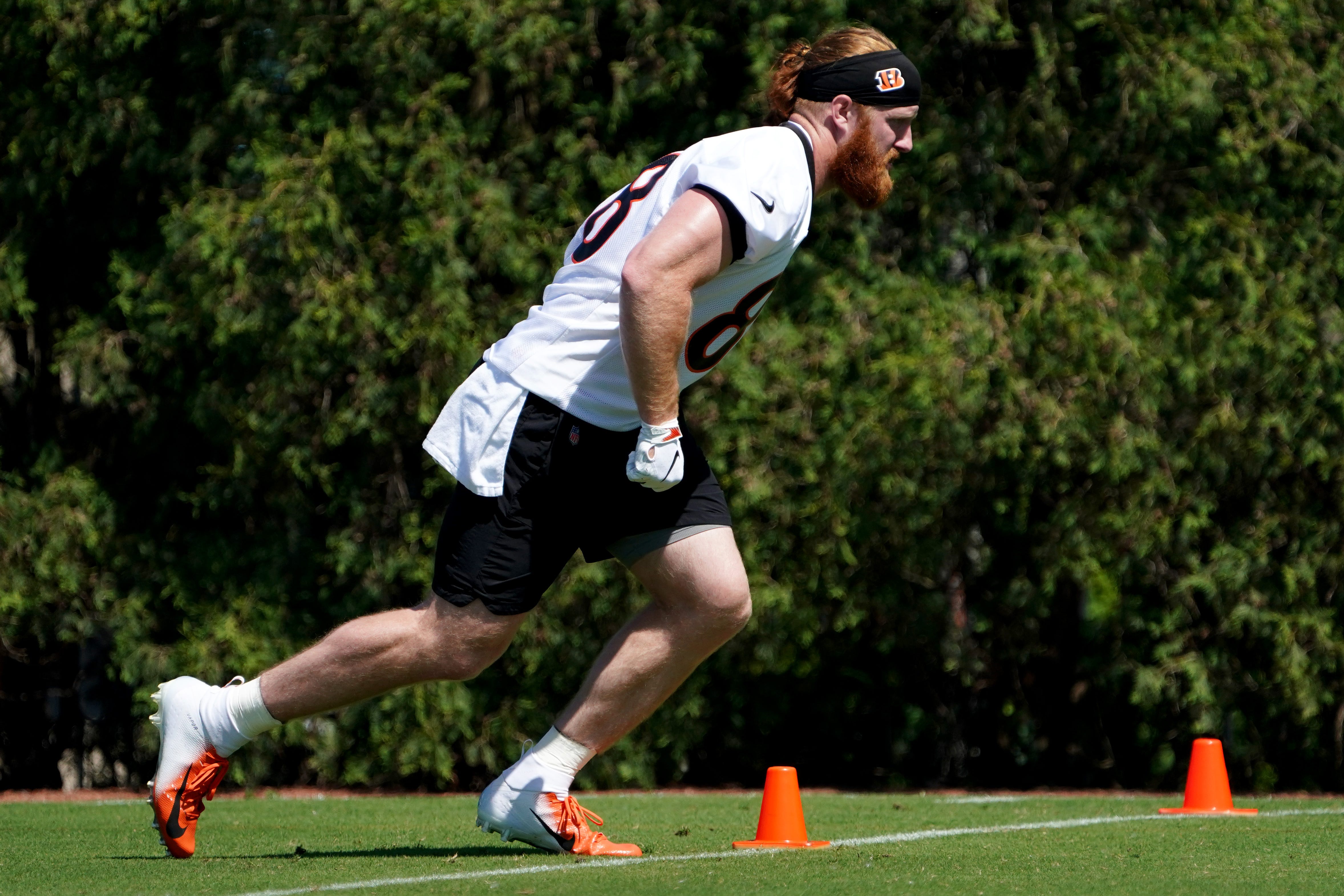 Cincinnati Bengals Need More From Tight End Position This Season ...