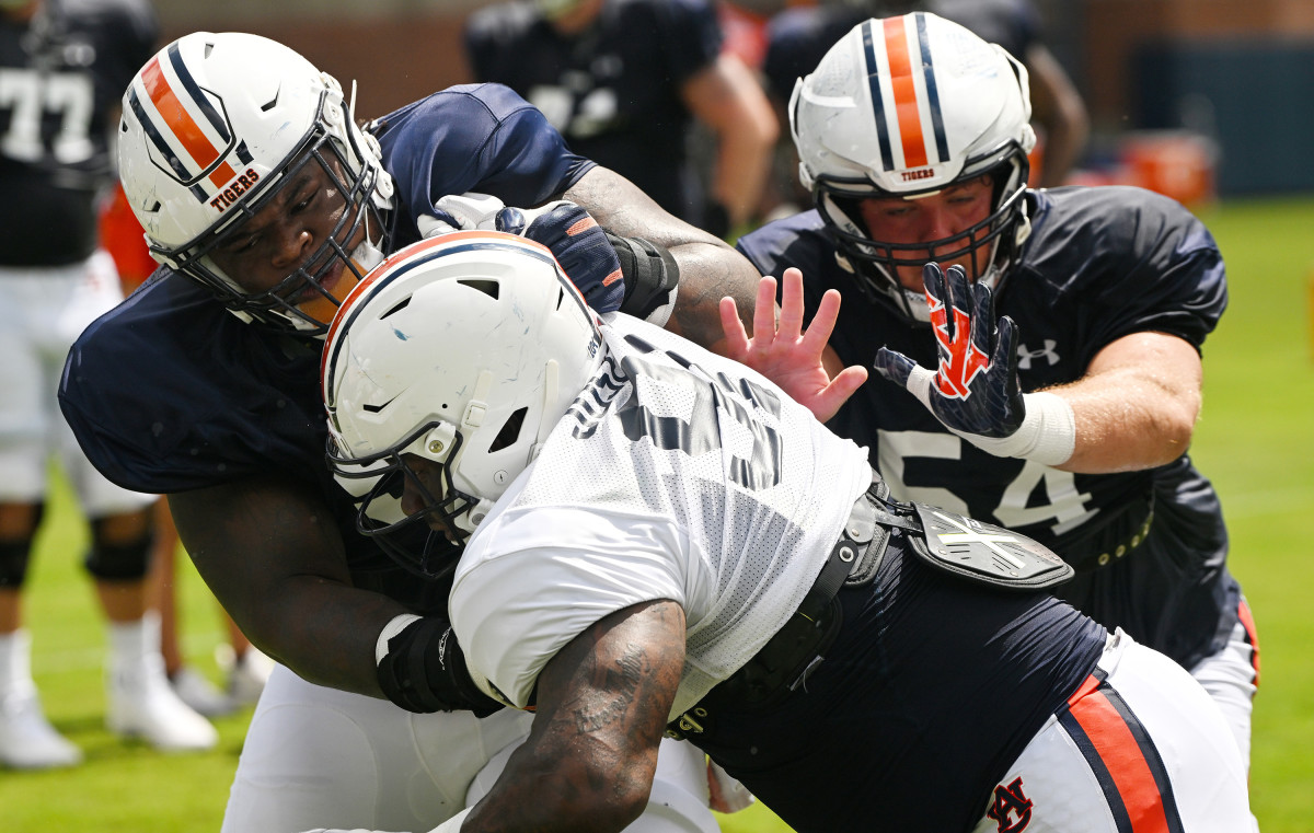 Auburn's Defensive PFF Grades vs LSU - Sports Illustrated Auburn Tigers ...