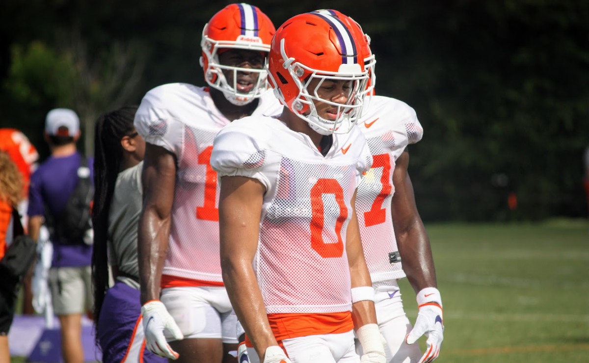 Freshman WR Antonio Williams Can Help Clemson Tigers This Year - Sports ...
