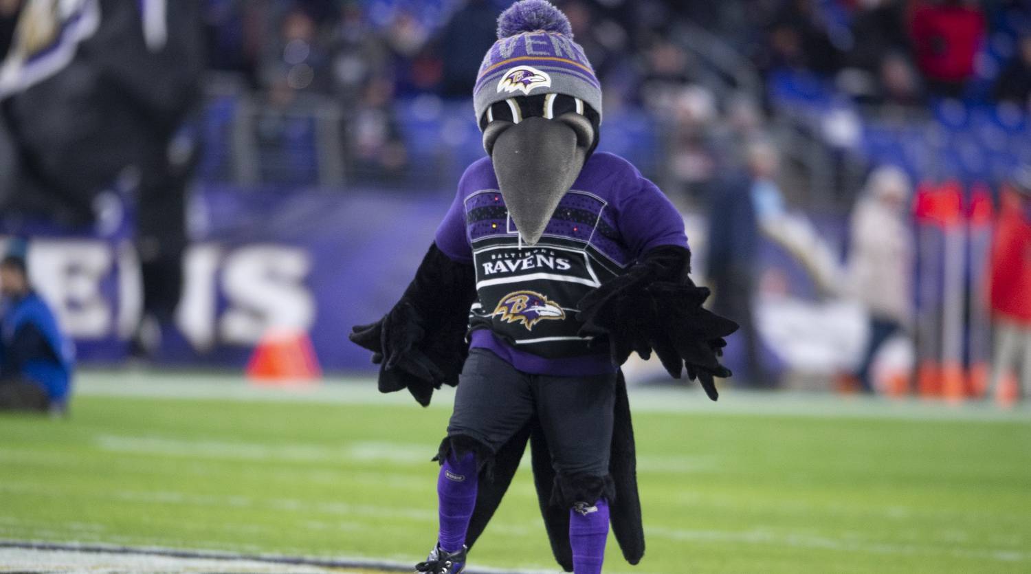 Ravens’ Mascot Poe Carted Off Field With Apparent Injury - Sports ...