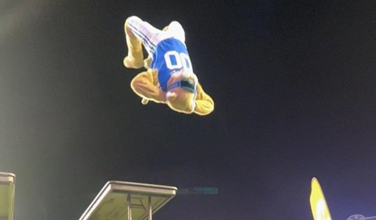 Cosmo’s Latest Stunt Has Gone Viral on Social Media - BYU Cougars on ...