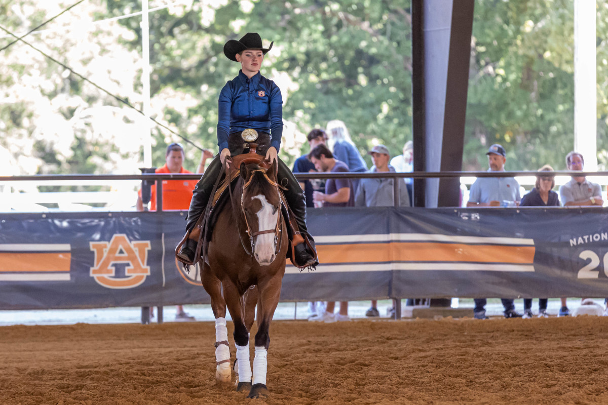 PHOTOS: Blue-Orange Scrimmage Gives Sneak Peek at Auburn Equestrian’s ...