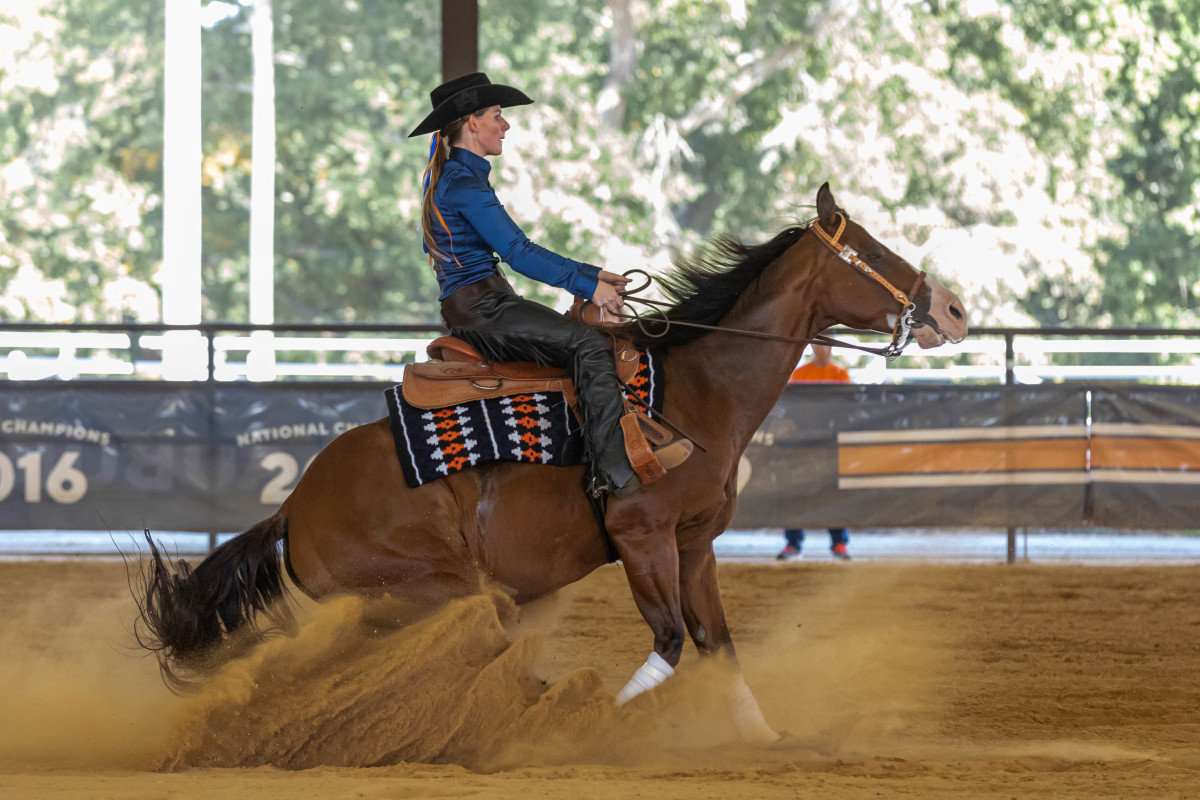 PHOTOS: Blue-Orange Scrimmage Gives Sneak Peek at Auburn Equestrian’s ...