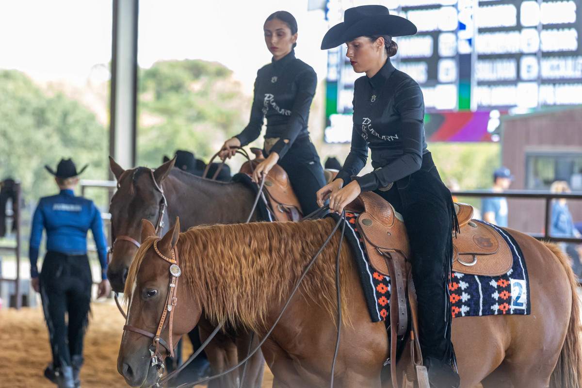 PHOTOS: Blue-Orange Scrimmage Gives Sneak Peek at Auburn Equestrian’s ...