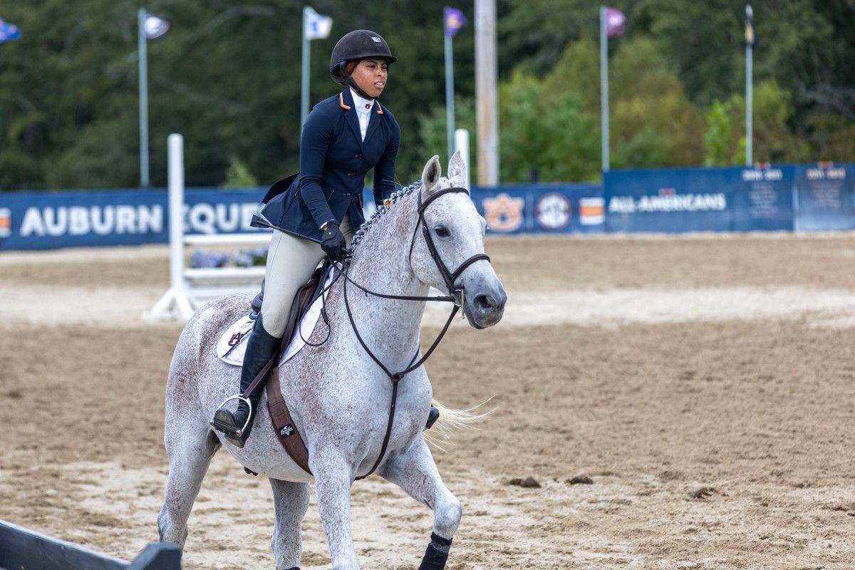 PHOTOS: Blue-Orange Scrimmage Gives Sneak Peek at Auburn Equestrian’s ...