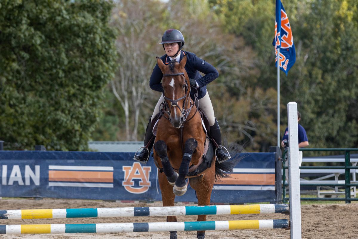 PHOTOS: Blue-Orange Scrimmage Gives Sneak Peek at Auburn Equestrian’s ...