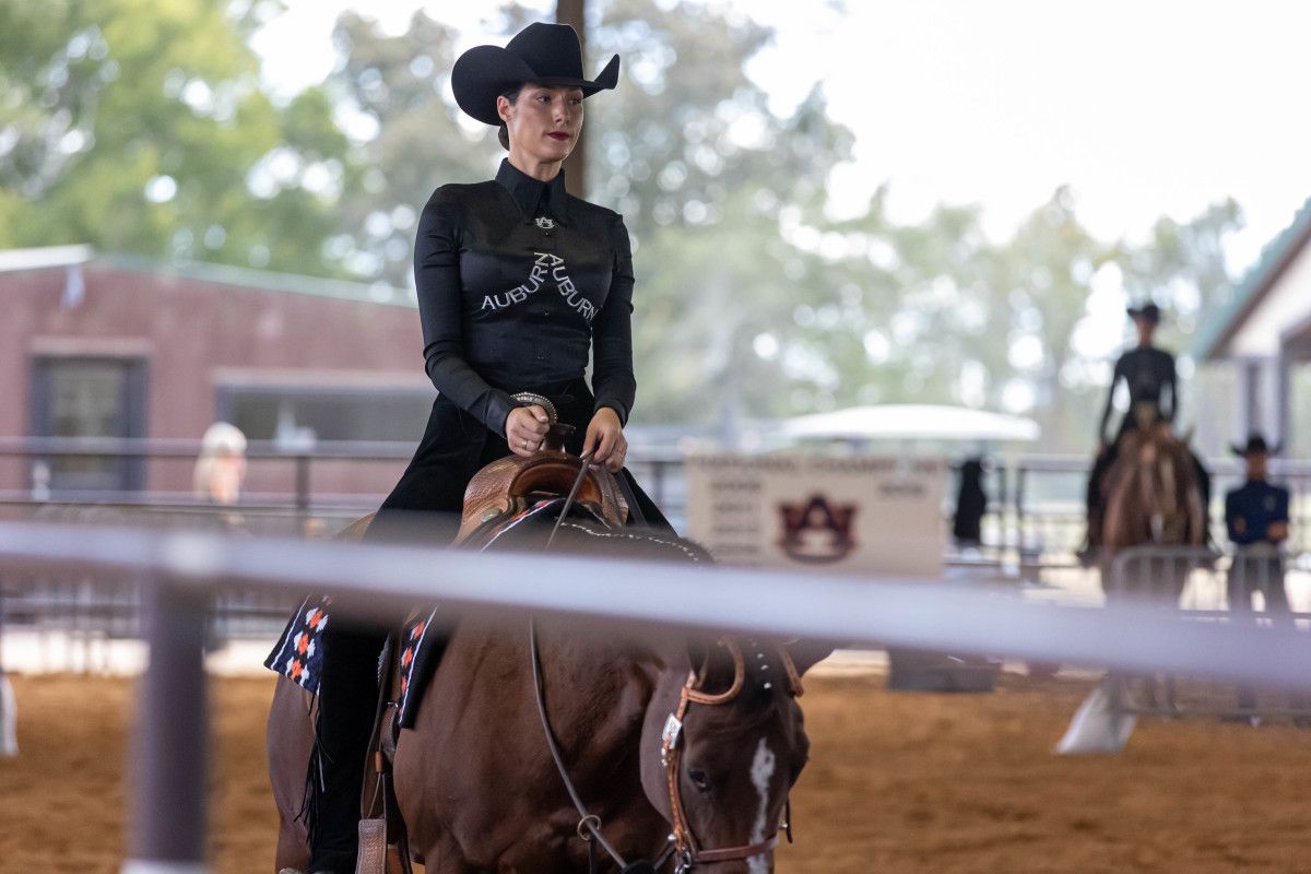 Auburn Equestrian Begins Season with an 11-8 Win At Georgia - Sports ...