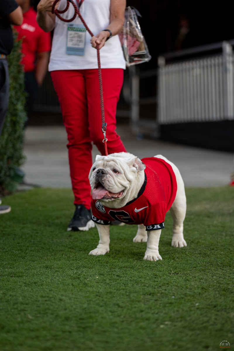 Georgia Football Photos From Win vs Vanderbilt - Sports Illustrated ...