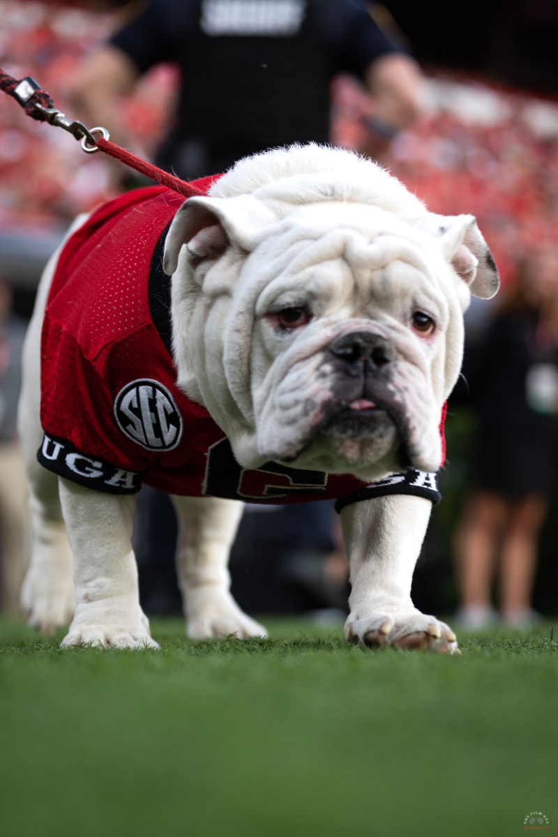 Georgia Football Photos From Win vs Vanderbilt - Sports Illustrated ...
