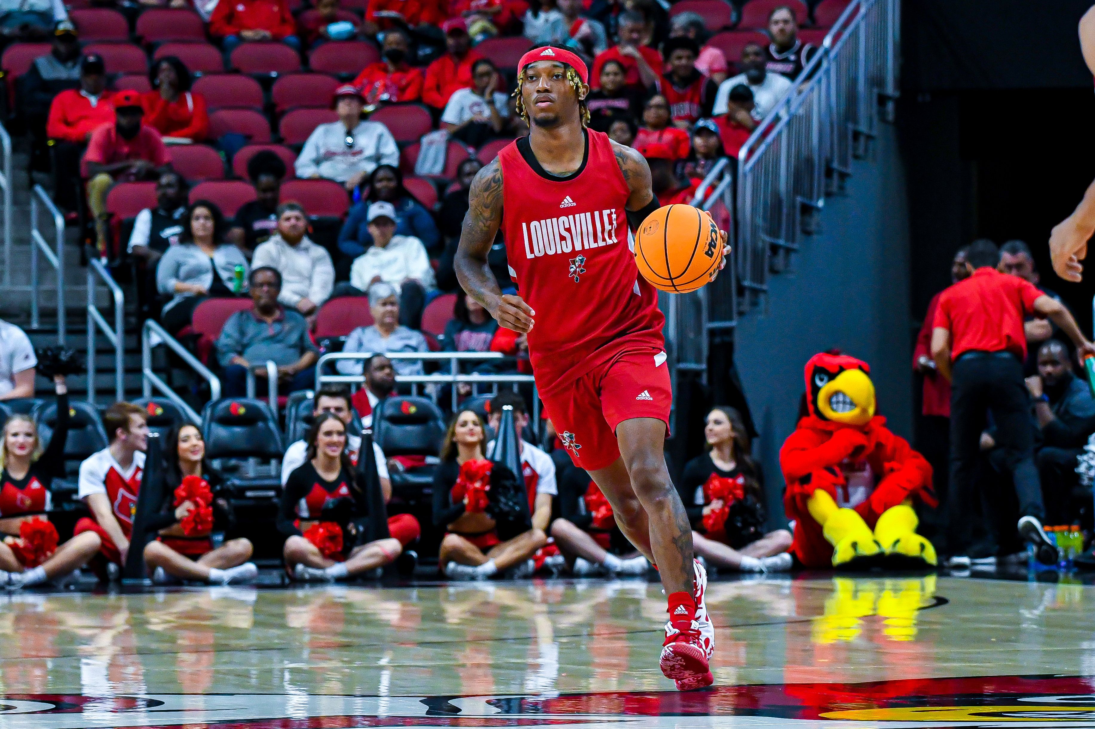 Louisville Stunned by Lenoir-Rhyne in Exhibition Play - Sports ...