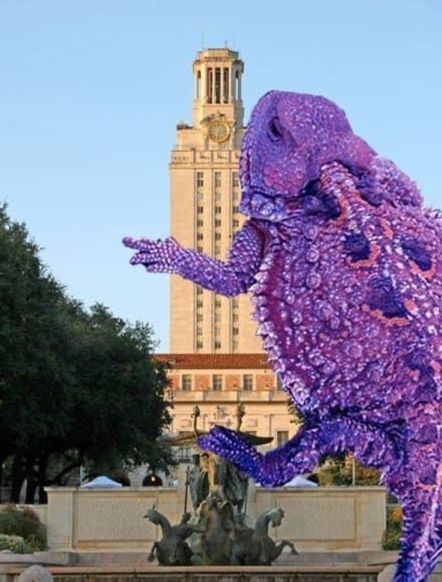 TCU football: All Your UT Memes For Game Day - Sports Illustrated TCU ...