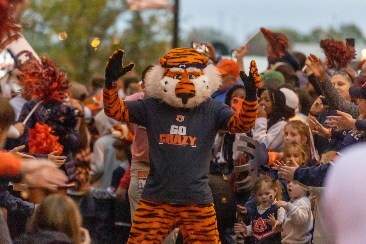 PHOTOS: The best shots from Auburn's Tiger Walk before the Texas A&M ...