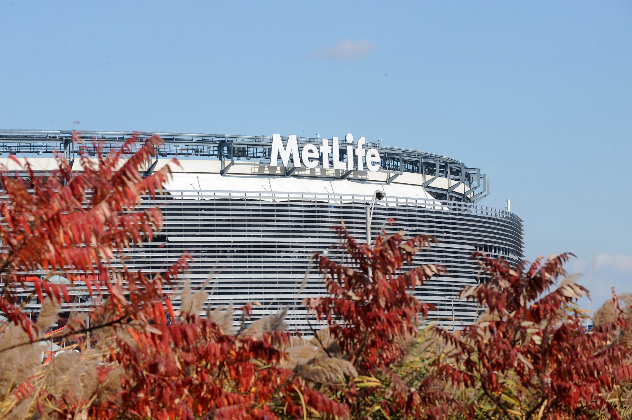 MetLife Stadium Turf to Be Replaced (Report) - Sports Illustrated New ...