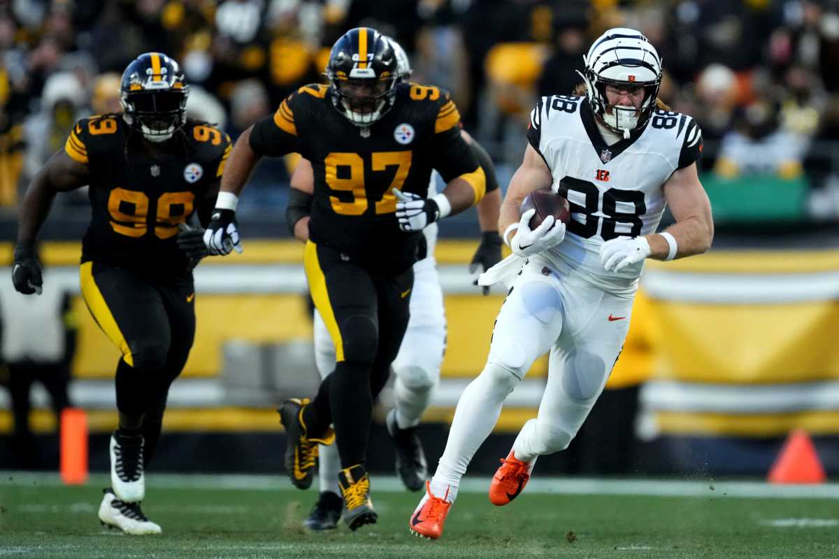 NFL Week Eleven: South Carolina Gamecocks In The League - Sports ...