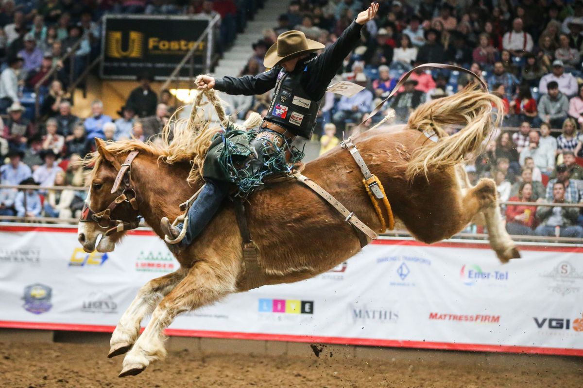 Who's Who of the American Contender Finals Weekend - Sports Illustrated ...