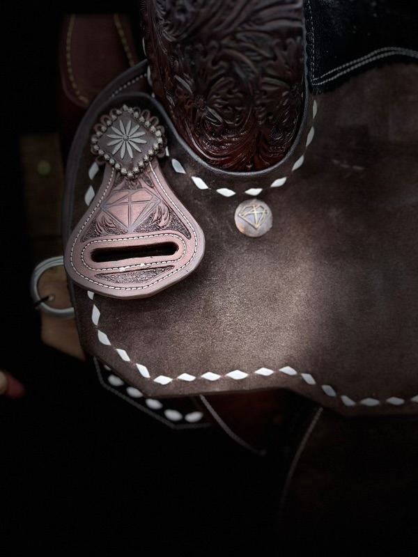 The Diamond Classic Incentive Launches Equine Tack Line - Sports ...