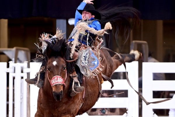 Statler Wright Continues Winning Ways with San Antonio Rodeo Bracket 2 ...
