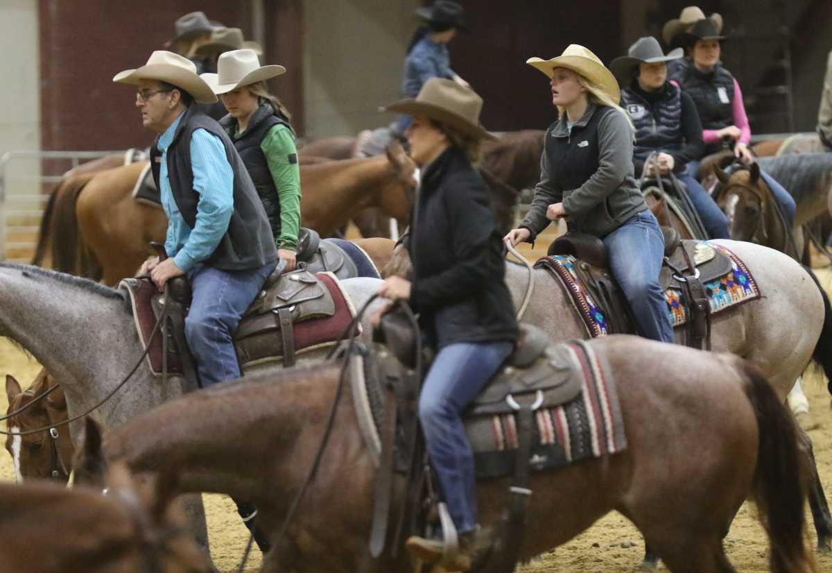 The Cutting Horse Industry Mourns the Loss of Two Stallions - Sports ...