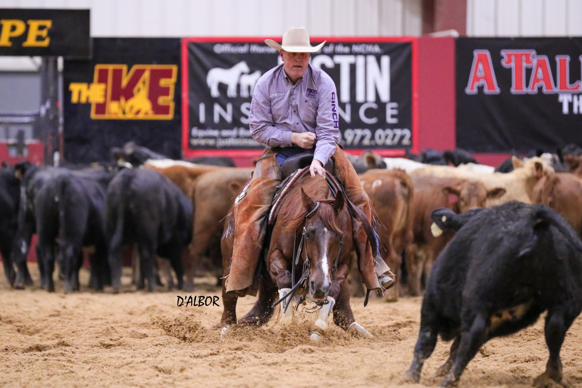 A Cut Above: NCHA Cutting Horses Set to Captivate the American ...
