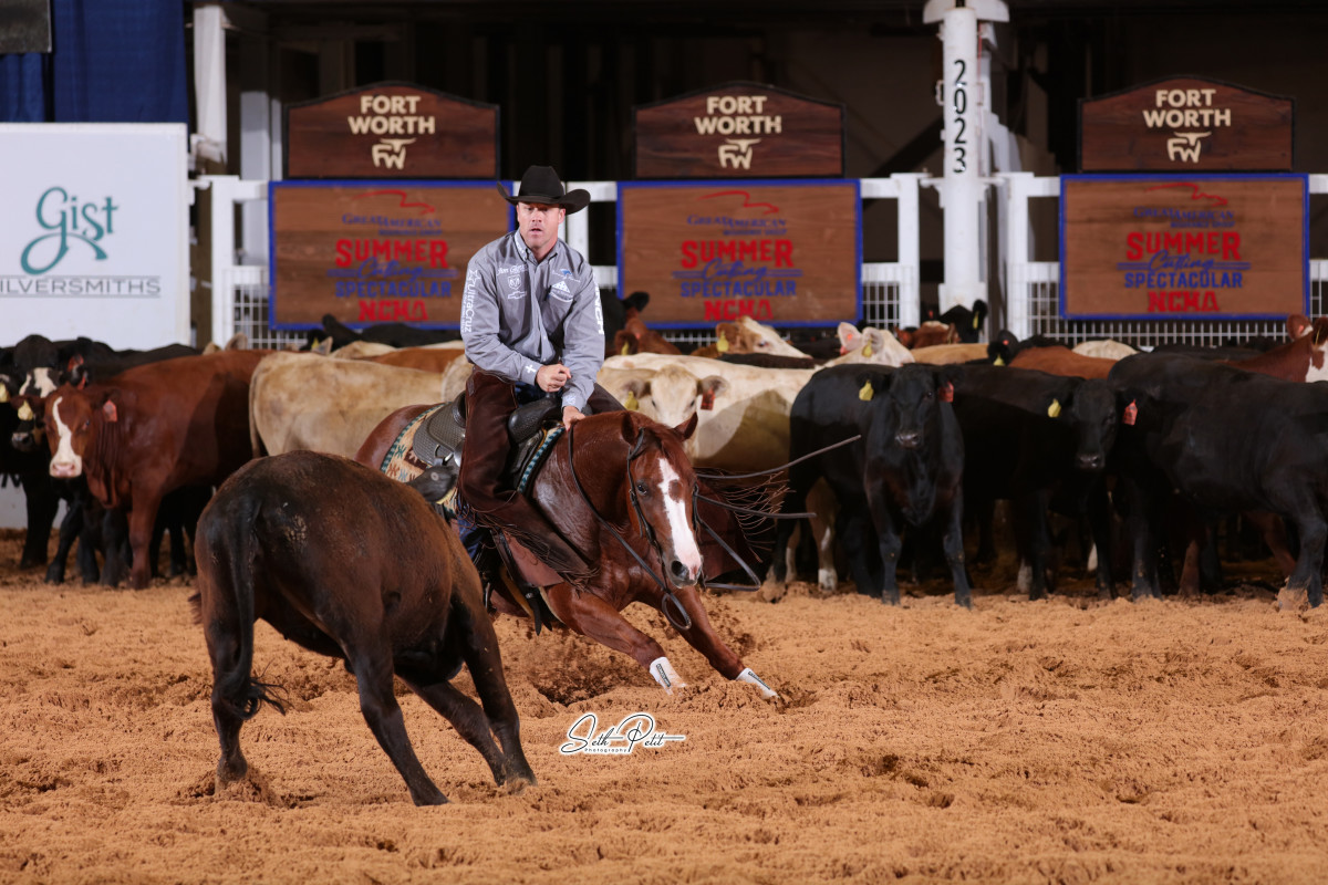 A Cut Above: NCHA Cutting Horses Set to Captivate the American ...