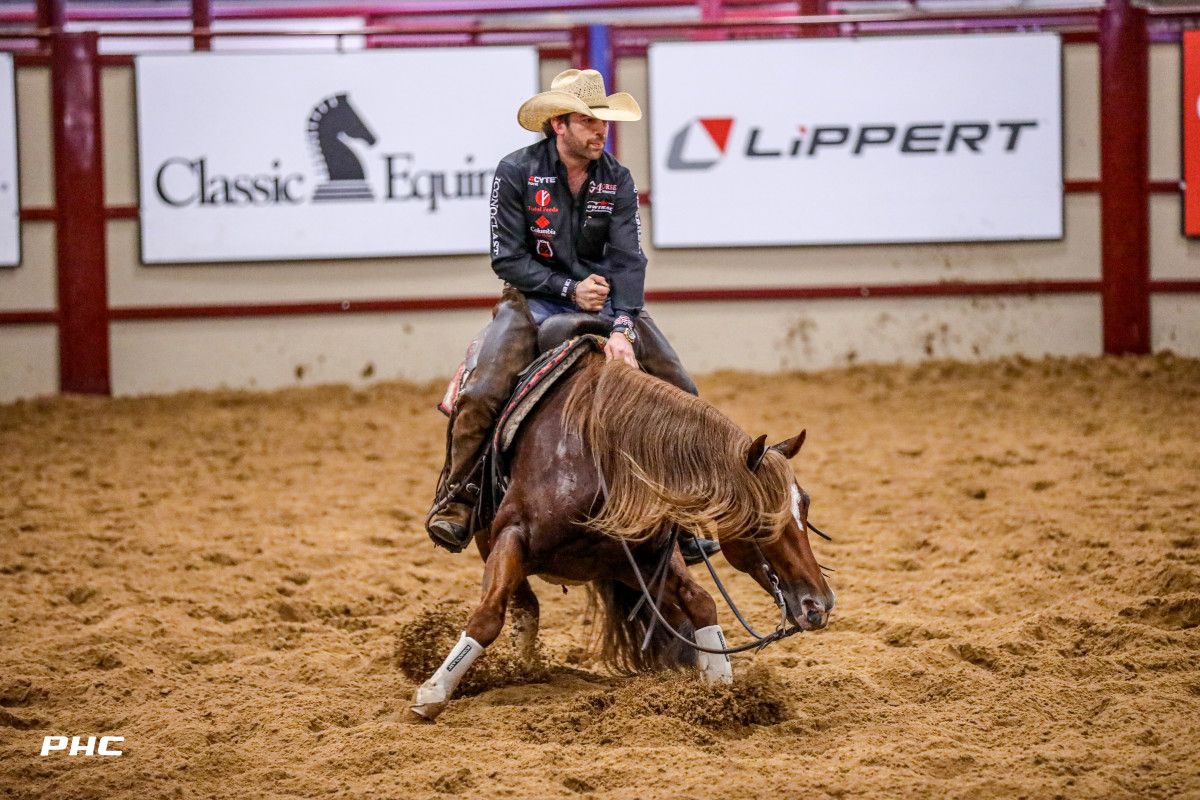 A Cut Above: NCHA Cutting Horses Set to Captivate the American ...