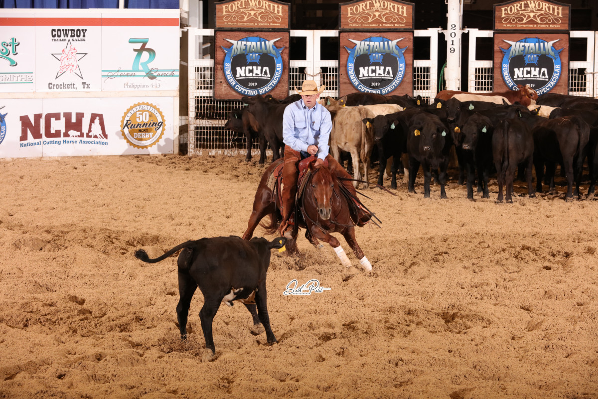 A Cut Above: NCHA Cutting Horses Set to Captivate the American ...