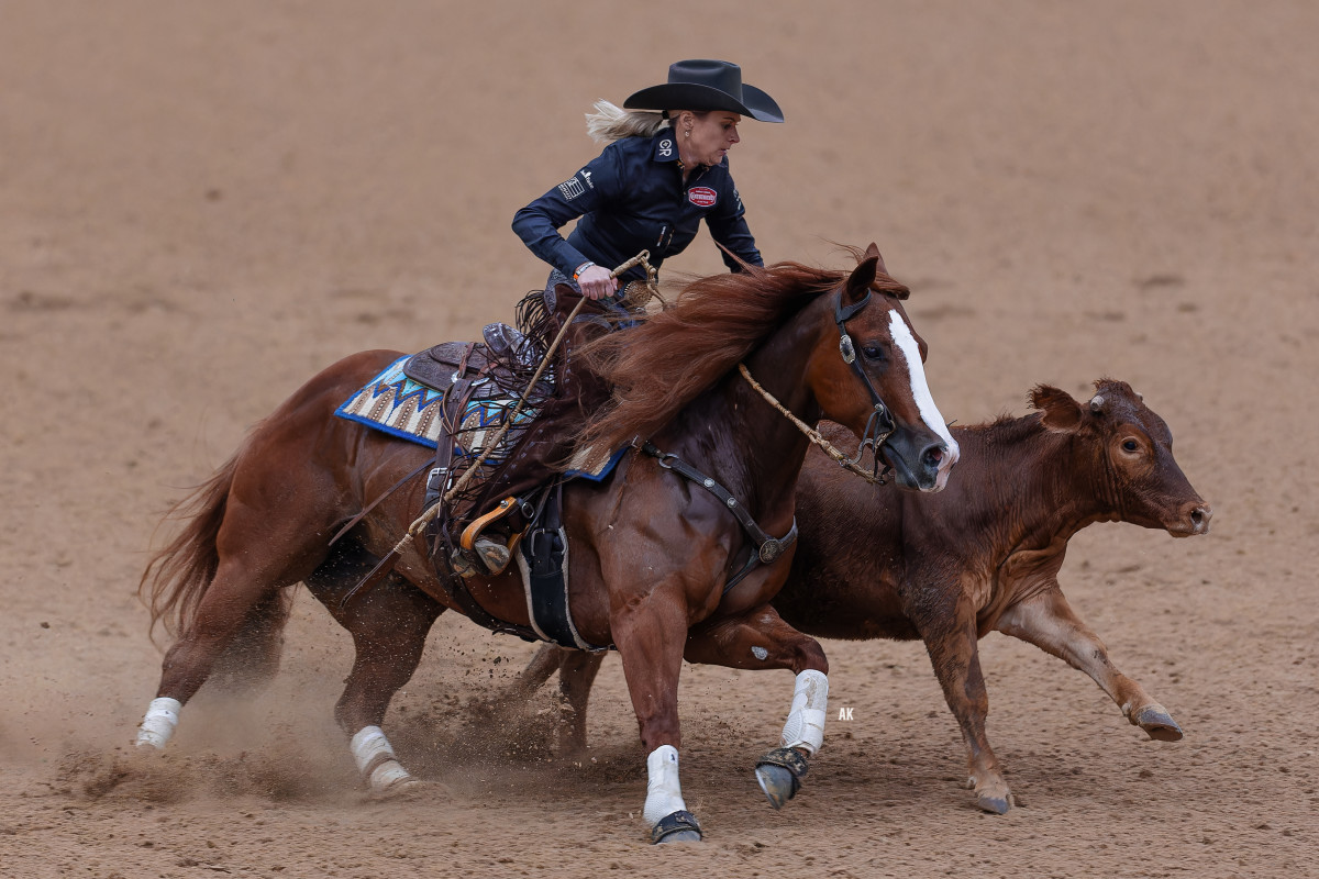 Big Stops, Stellar Spins, Cow Sense: The Reined Cow Horses of The ...