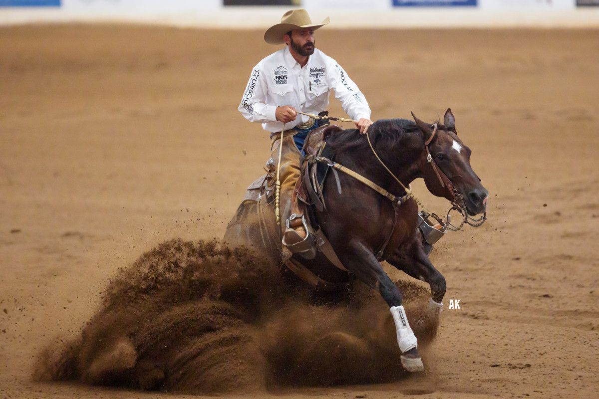 Big Stops, Stellar Spins, Cow Sense: The Reined Cow Horses of The ...