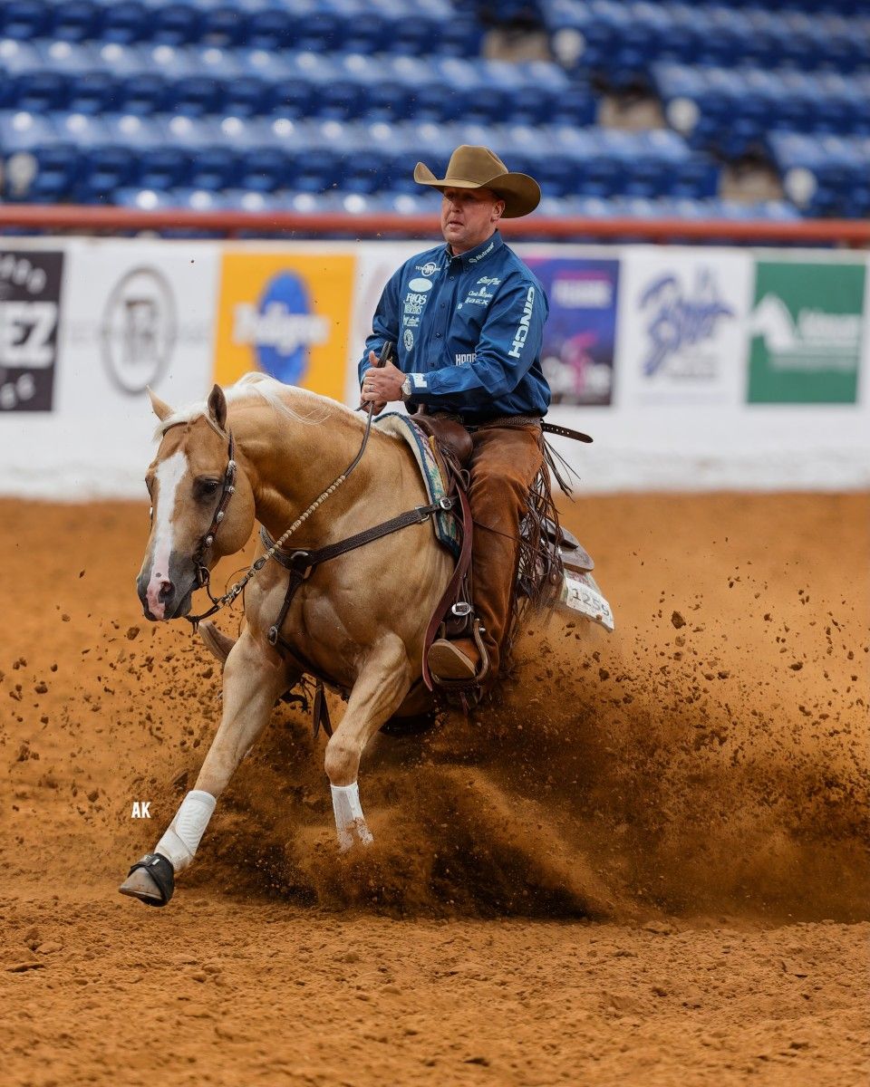 Big Stops, Stellar Spins, Cow Sense: The Reined Cow Horses of The ...